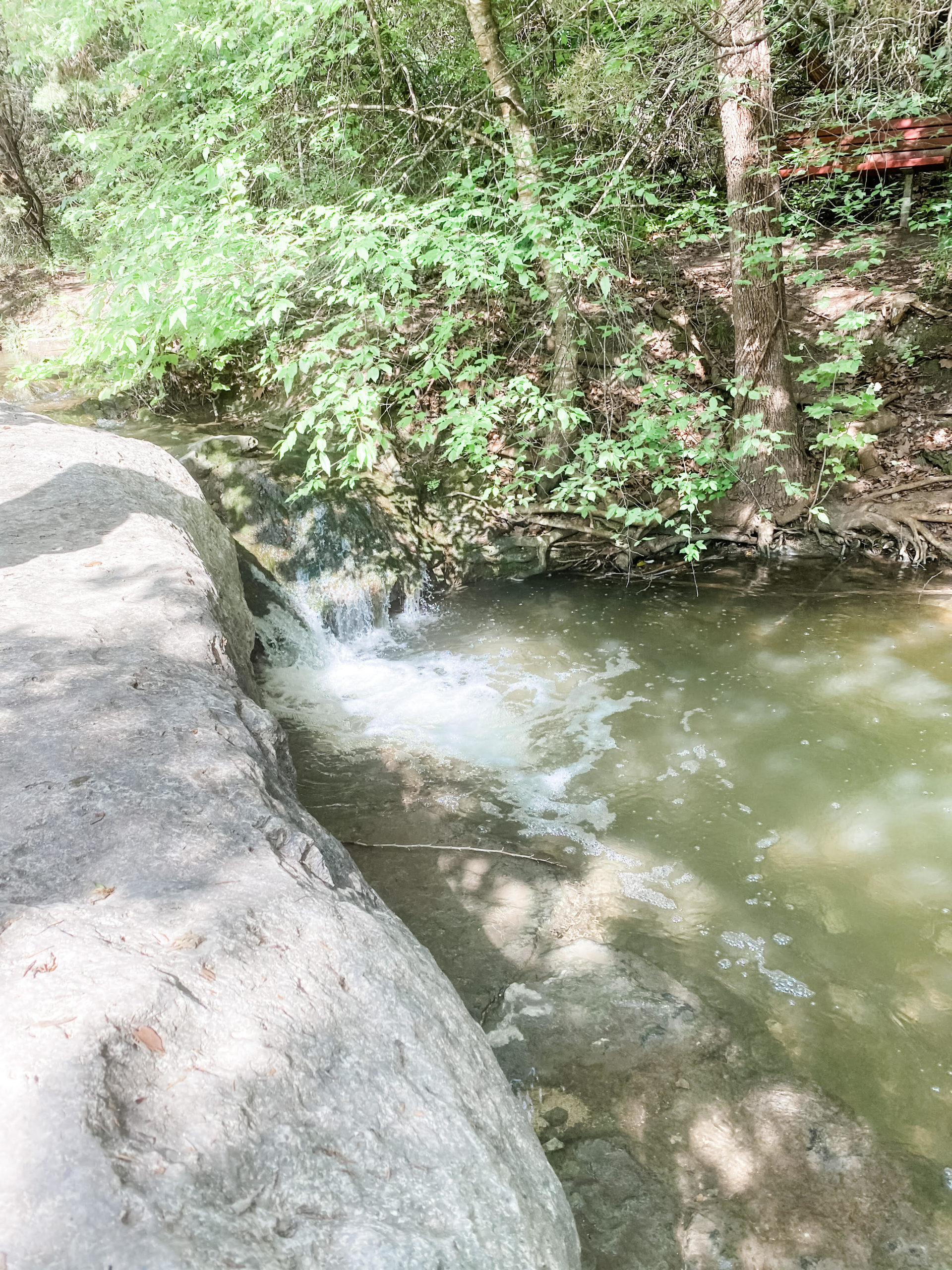 Steiner Ranch Trail Map Updated - Elicia Michaud